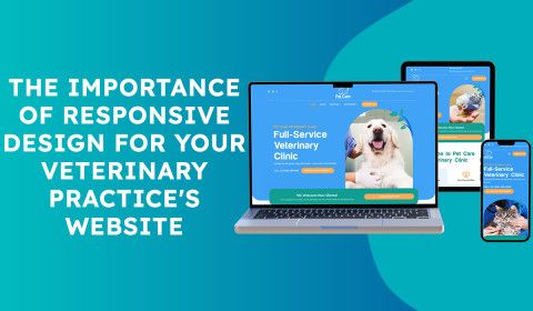 Veterinary Website Design & Marketing | Websy Vet